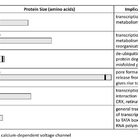 Slip Strand Mispairing Mutation Download Scientific Diagram