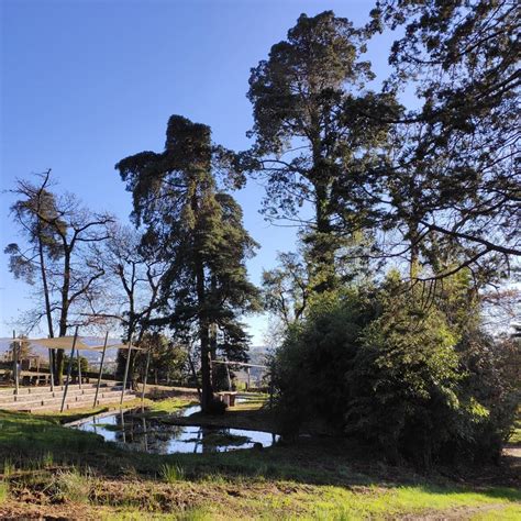 Parque Da Quinta Do Passal Município De Valongo