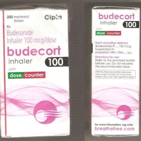 Budecort Budesonide Inhaler 100mcg Dose Blue Earth Traders Id