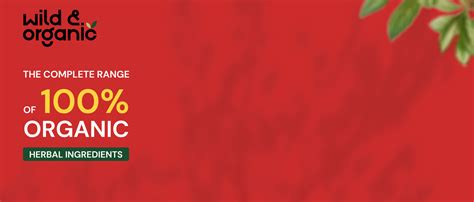 Wild And Organic Beet Root Gummies Natural Energy