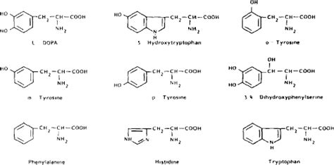 Aromatic L Amino Acid Decarboxylase Springerlink