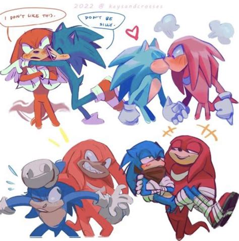 The Sonics Are In Different Poses For This Cartoon And It Looks Like Theyre