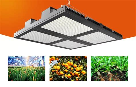 Horticulture Led Plant Growing Light Full Spectrum