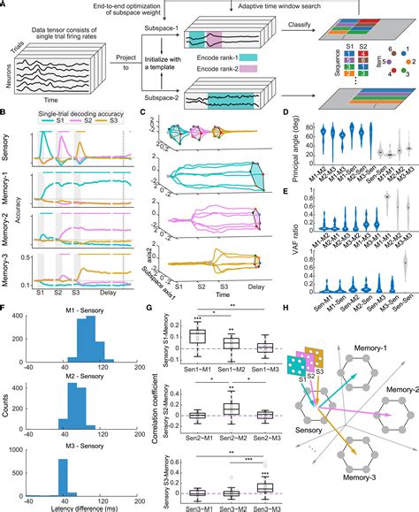 flexible control of sequence working memory in the macaque frontal cortex neuron