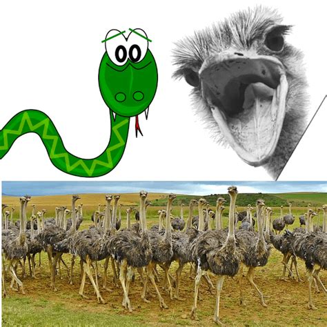 Get Safe Paths From Arbitrary Strings In Python The Ostrich