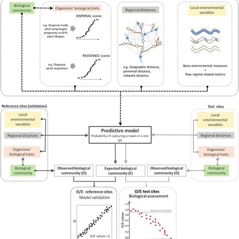 Steps For The Incorporation Of Metacommunity Based Measurements Into Download Scientific