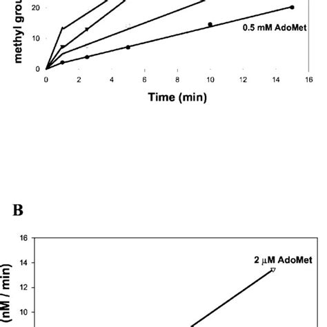 Progress Curve Analysis Of The Methylation Reaction Of Kpni Mtase Time