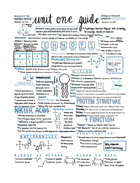 Functional Groups Ap Biology