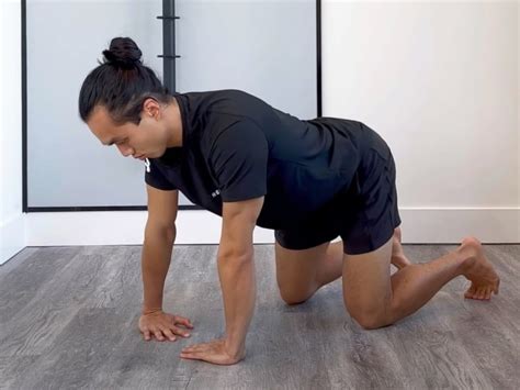 Quadruped Exercise