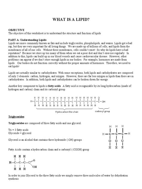 Understanding Lipids An In Depth Exploration Of Lipid Structure And Function Pdf Lipid
