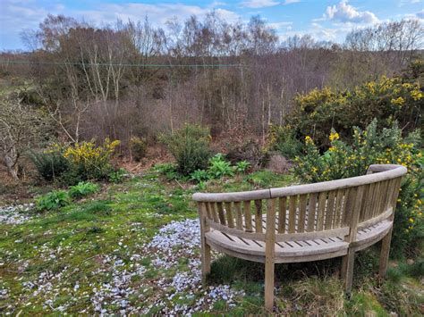 Assignment Night 28 March 2024 Hitchin Camera Club