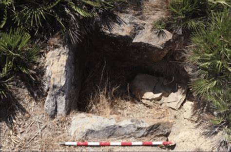 4000 Year Old Link Between Africa Europe Revealed With New Burial Site