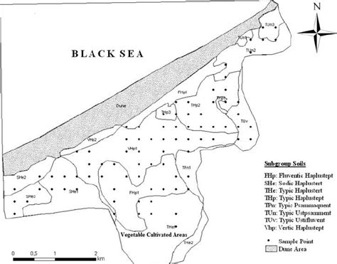 Soil Sampling Design Of The Study Area Download Scientific Diagram