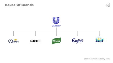 House Of Brands 101 Brand Architecture Strategy Top Examples