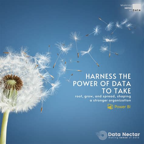 Data Businessintelligence Resilient Bisolutions Seeds