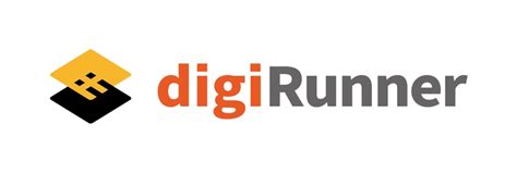 using x api key for authentication and authorization digirunner