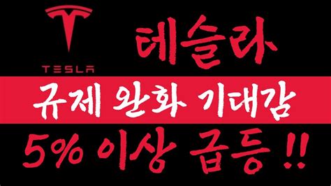 테슬라 규제 완화 기대감 5 이상 급등 테슬라 테슬라주가 테슬라주가전망 테슬라주식 테슬라전망 일론머스크