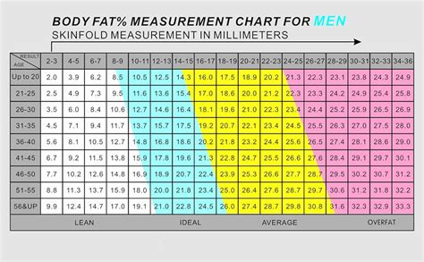 Body Fat Percentage Using Measurements At Shanna Gaiser Blog