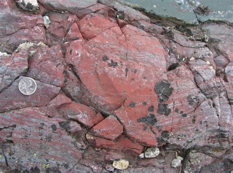 Oldest Microfossil Discovered Abc Columbia