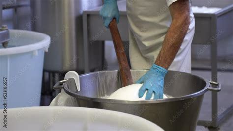 Manufacture Production And Making Process Of Mozzarella Cheese Worker