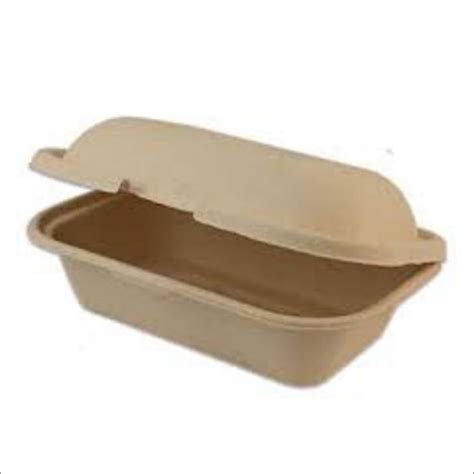 Eco Friendly Bagasse Pulp Oval Container At Best Price In New Delhi