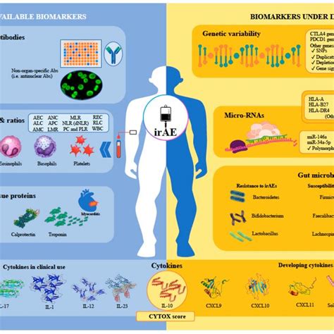 Graphical Representation Of Different Families Of Predictive Biomarkers