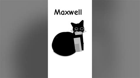 Maxwel Youtube