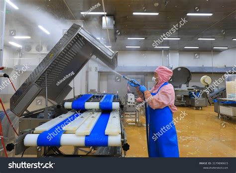 4 Thousand Food Manufacturing Cleaning Royalty Free Images Stock