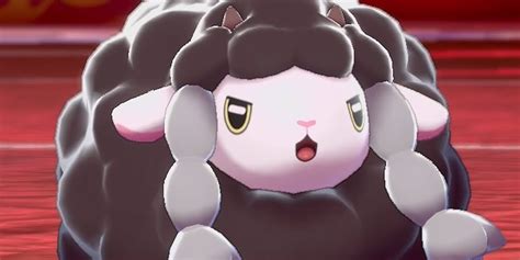 Pokémon Sword And Shield 10 Things About Wooloo You Missed