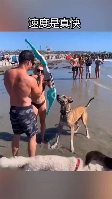 爆笑段子：速度确实挺快，但眼神不咋好使爆笑经典猎奇新浪新闻