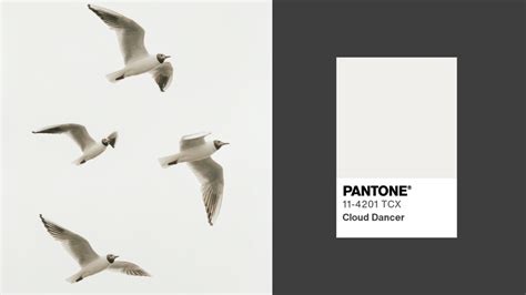 Introducing Pantones Color Of The Year 2026 Cloud Dancer The Noun