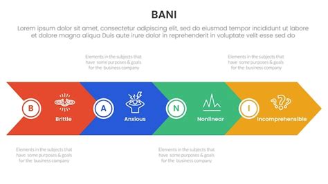 Infográfico Del Marco Mundial De Bani Plantilla De Etapa De 4 Puntos