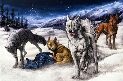 Волчий дождь арты Zefirkaclub фото и картинки