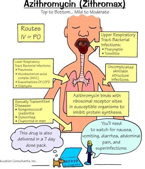 Nursing Pharmacology Azithromycin Zithromax Infographics
