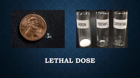 Lethal Dose C And R