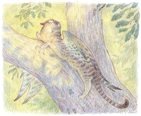Camelidae Original Relaxing Colored Pencil Medium Commentary
