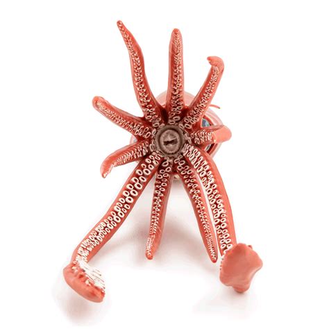 Figurine Calamar Géant Animal Miniature Dès 3 Ans