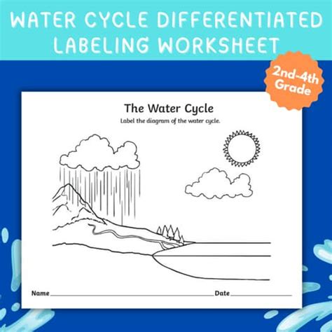 The Water Cycle Differentiated Labeling Worksheet For 2nd 4th Grade