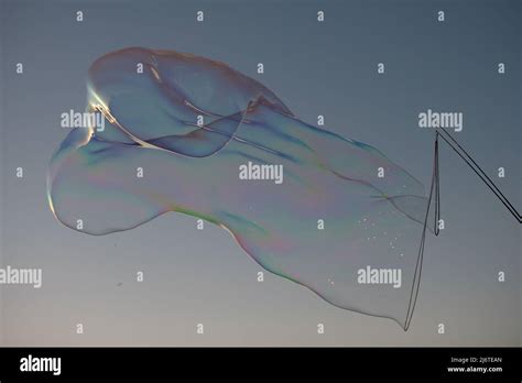 Soap Bubbles With Rainbow Reflection Buble At The Blue Sky Bubble
