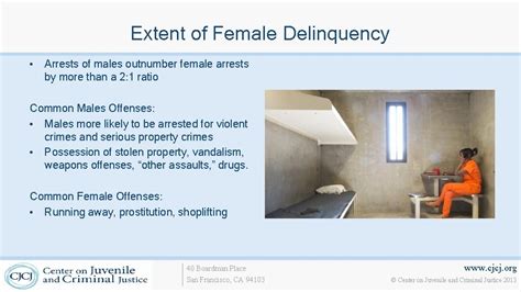 Female Delinquency Similarities And Differences Between Male And
