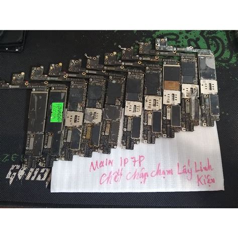 Main Xác 7p 7g Shopee Việt Nam