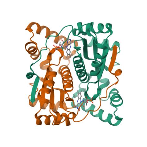 Rcsb Pdb 8q5g Crystal Structure Of Nitroreductase From Bacillus
