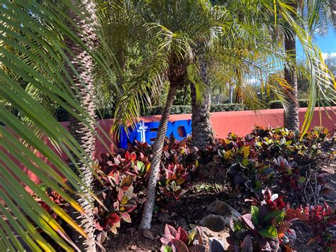 Segway Ninebot Kickscooter G65 Max 2 Overview And Unboxing Rninebotmax