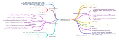 34 Inheritance Coggle Diagram 34 Inheritance Coggle Diagram