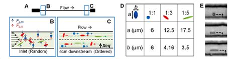 A B C The Microfluidic Device Used For Shape Based Separation Download Scientific Diagram