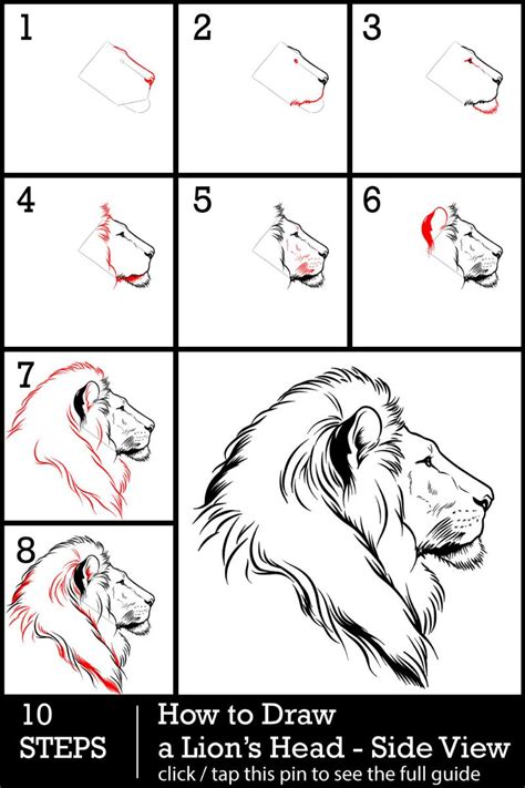 How To Draw Realistic Lions In Different Poses 14 Drawing Guides In 1