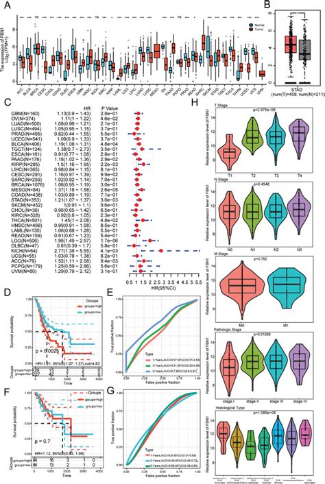 Succinylation Inhibits The Enzymatic Hydrolysis Of The Extracellular
