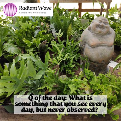 Giulia Lucchini On Linkedin Observing Noticing Observer Pausing