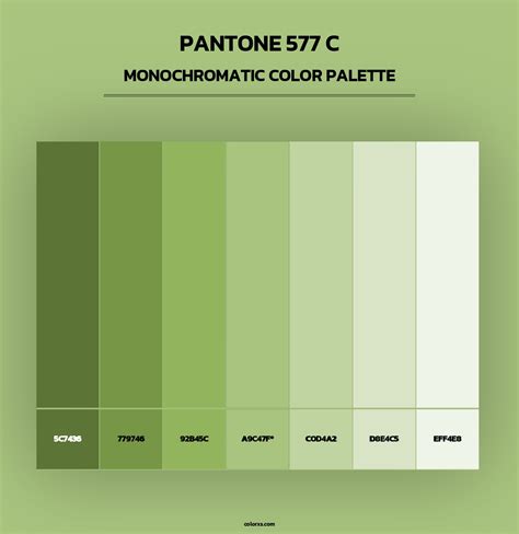 Pantone 577 C Color Palettes