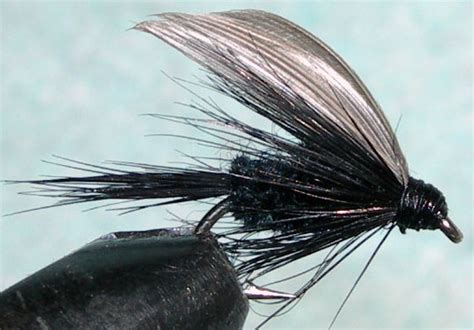 Black Gnat Wetfly Trout Fly Pattern